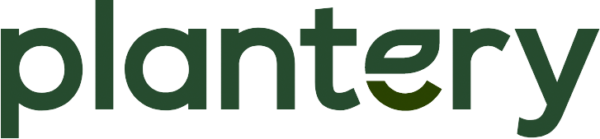 Kamerplanten | Plantery